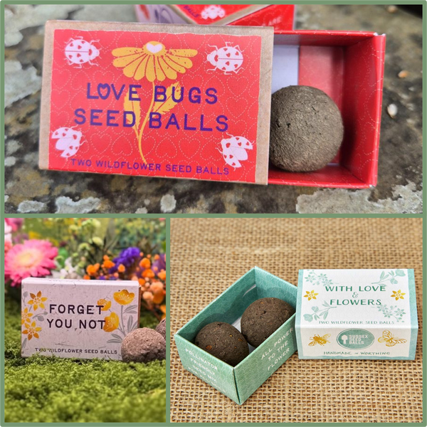 Sussex Seed Balls - Mini Box (single) – Perennial GRBS