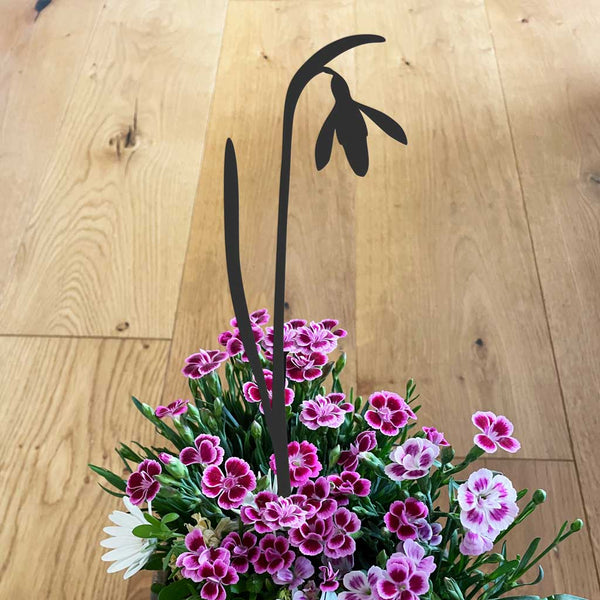 A Blackbird Sang - Snowdrop Flower Stem – Perennial GRBS